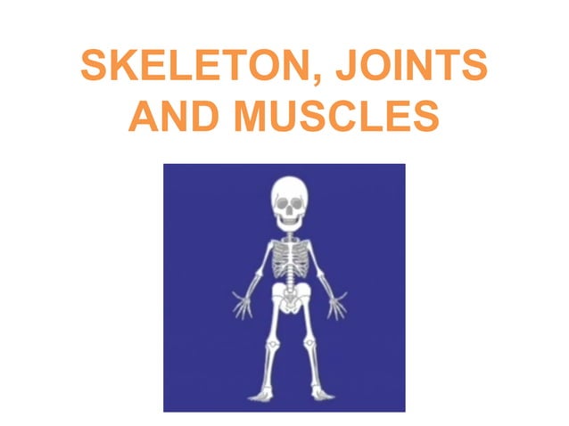 Unit 1 skeleton, joints and muscles | PPT