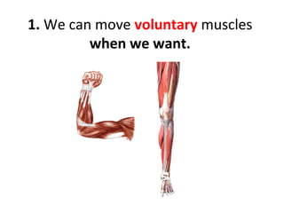 Unit 1 skeleton, joints and muscles | PPT