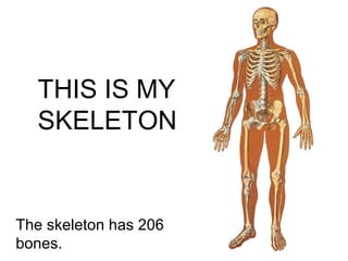 Unit 1 skeleton, joints and muscles | PPT