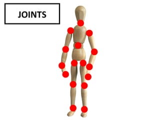 Unit 1 skeleton, joints and muscles | PPT