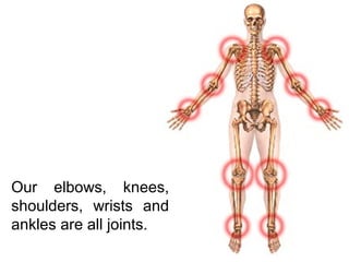 Unit 1 skeleton, joints and muscles | PPT