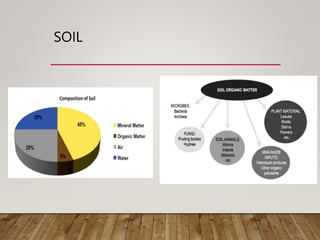 unit 1_Soil.pptx