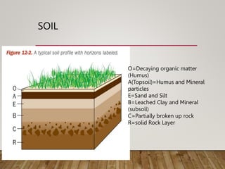 unit 1_Soil.pptx