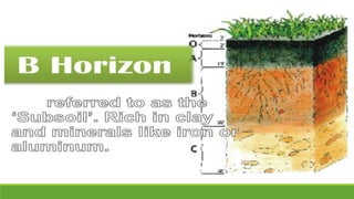 Unit 1 soil, rock and minerals | PPTX
