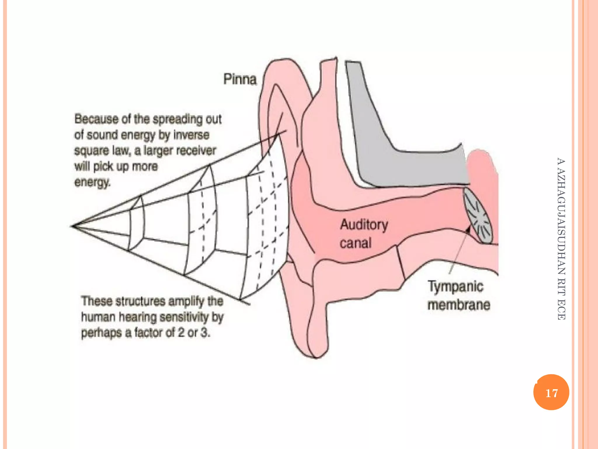 Unit 1 speech processing | PPT | Digital Audio | Computer Software and Applications