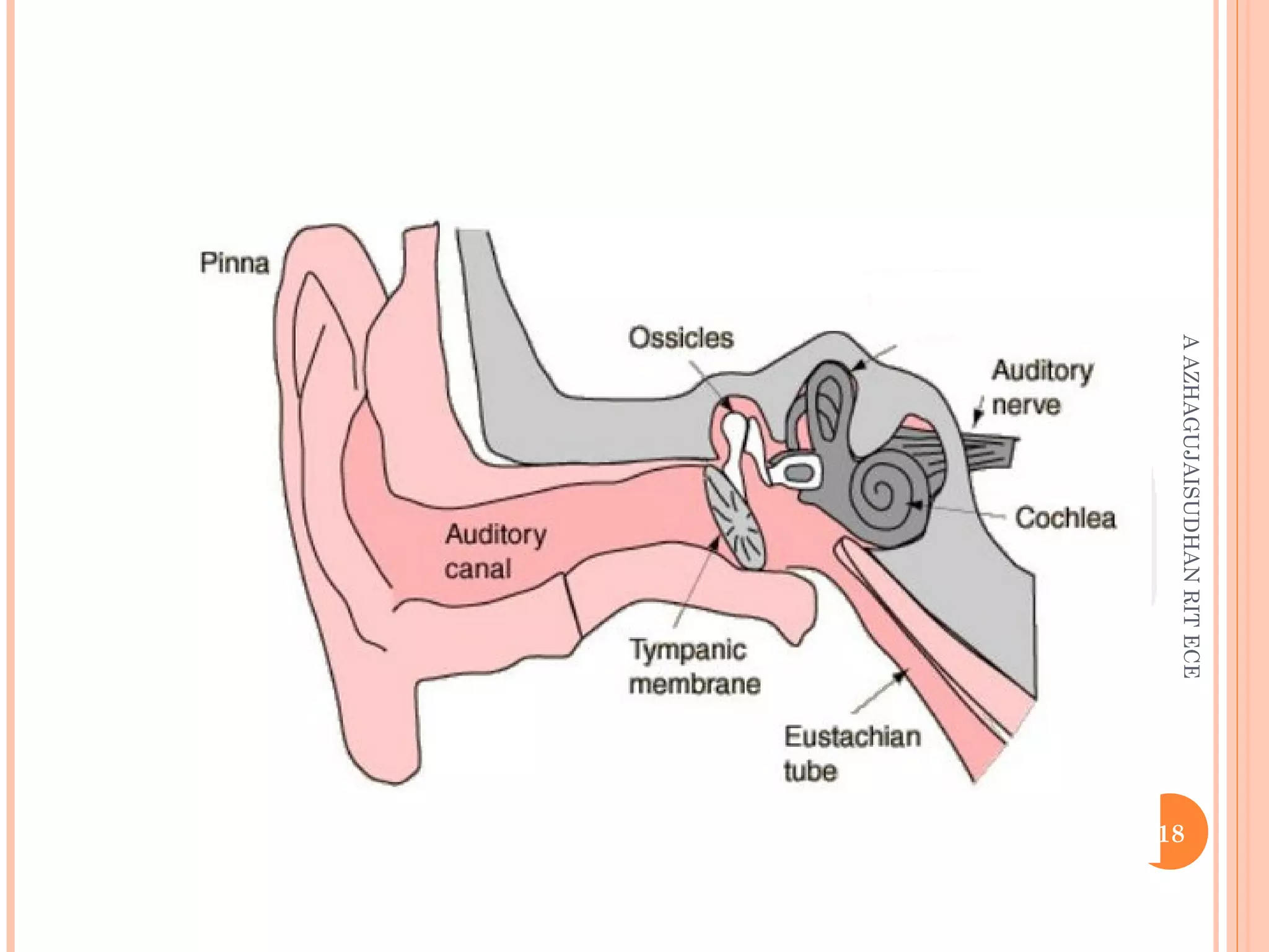 Unit 1 speech processing | PPT | Digital Audio | Computer Software and Applications