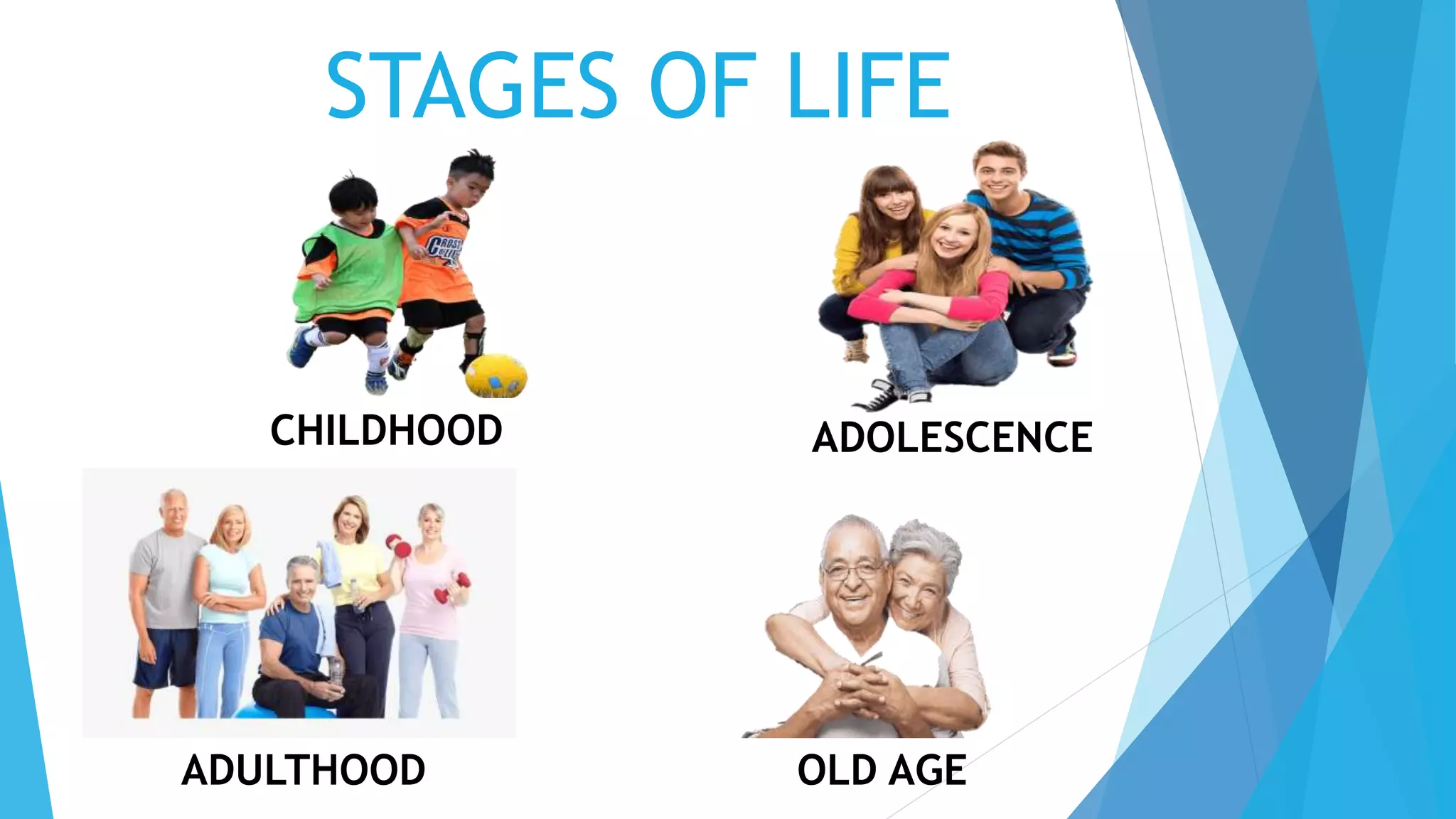 Unit 1 Stages of life.pptx
