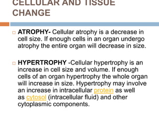 UNIT 1st INTRODUCTION OF PATHOLOGY FOR NURSES | PPTX