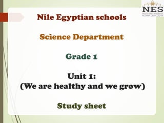 Unit 1 study sheet grade 1 | PPT