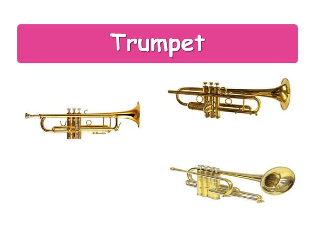 Sound Sources (Grade 2) | PDF | Music | Entertainment