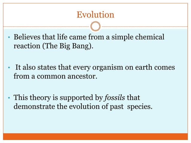 The Beggining of life | PPT