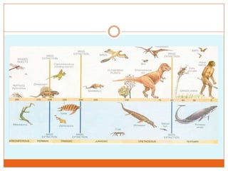 The Beggining of life | PPTX