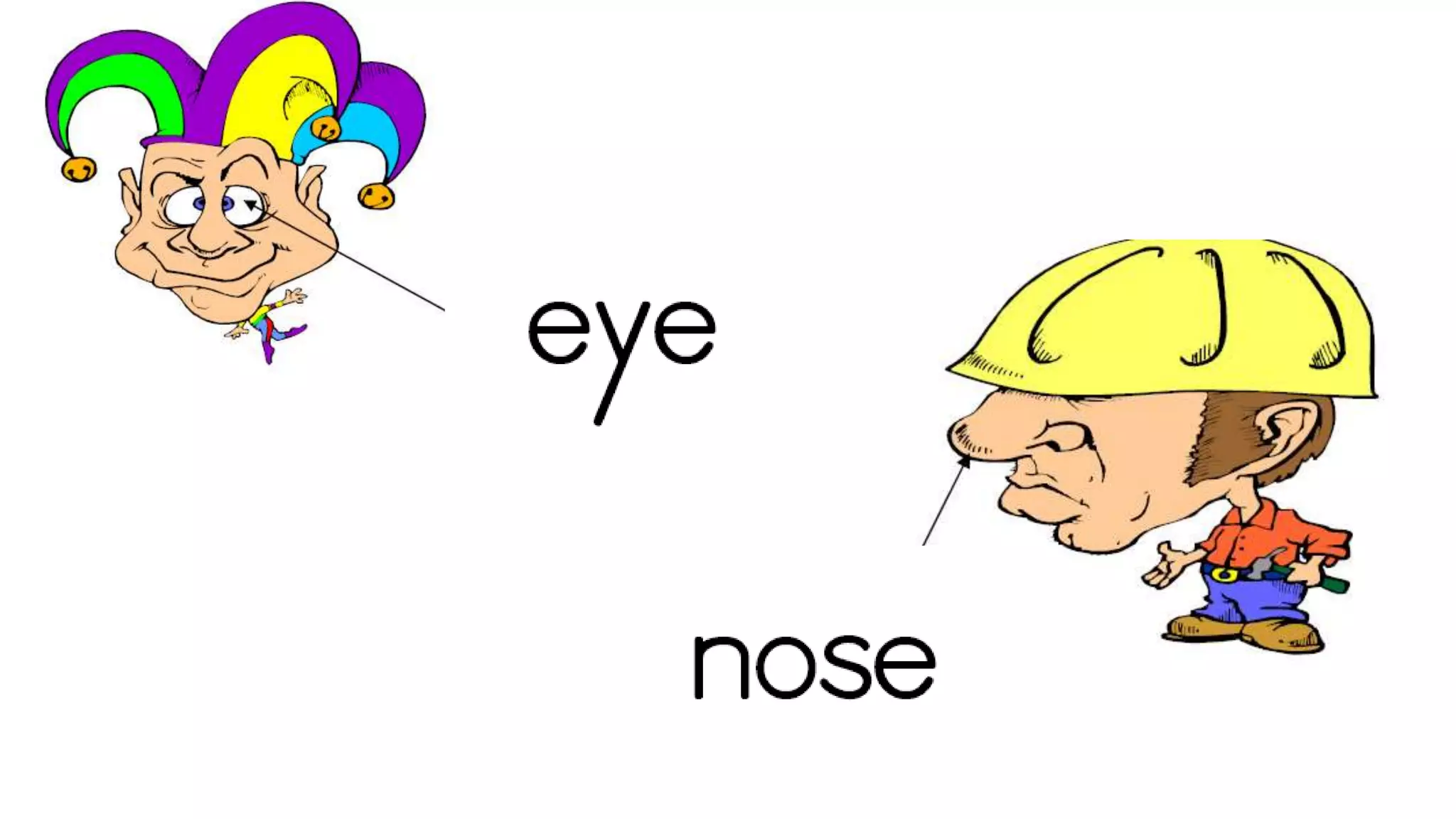 Unit 1 the body year 1 Natural science | PPT