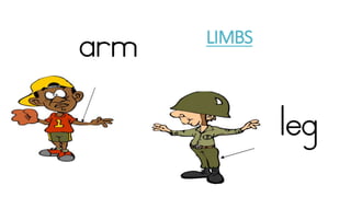 Unit 1 the body year 1 Natural science | PPT