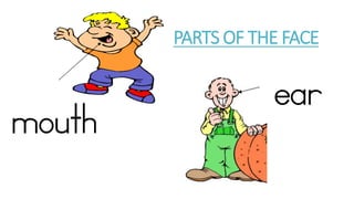 Unit 1 the body year 1 Natural science | PPT