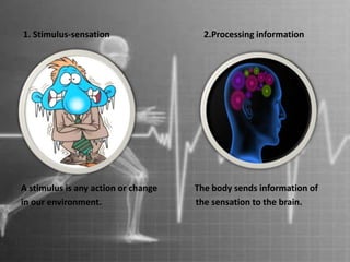 Unit 1 The Human Body and Interaction | PPT