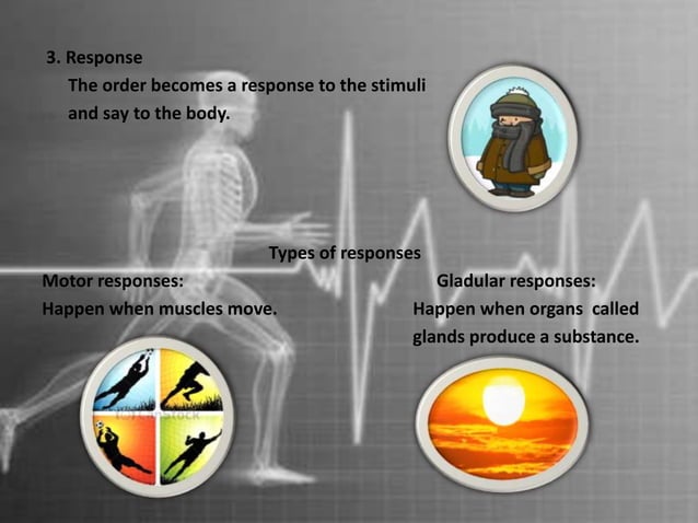 Unit 1 The Human Body and Interaction | PPT