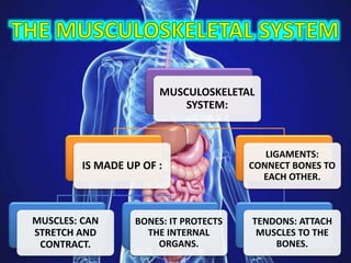 Unit 1 the human body and interaction. | PPT