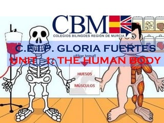 Unit 1 the human body | PPT