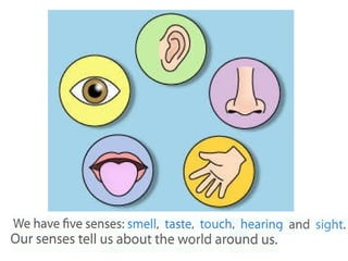 Unit 1 the human body | PPT