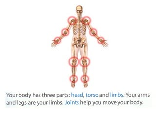 Unit 1 the human body | PPT