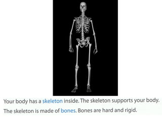 Unit 1 the human body | PPT