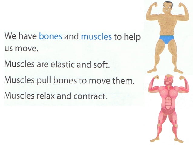 Unit 1 the human body | PPT