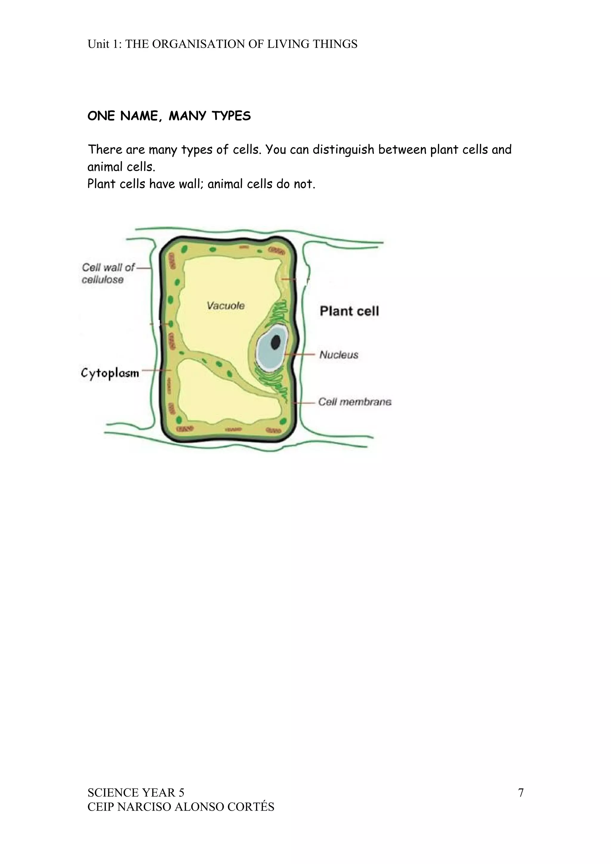Unit 1 The Organisation Of Living Things | DOC