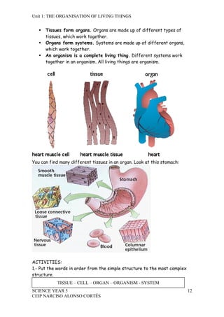 Unit 1 The Organisation Of Living Things | DOC