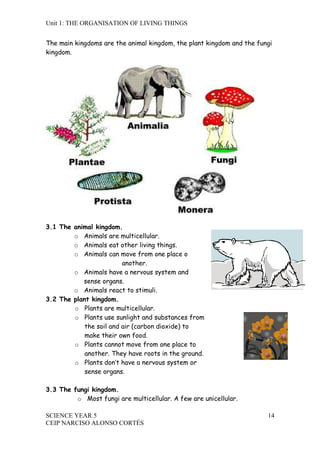 Unit 1 The Organisation Of Living Things | DOC