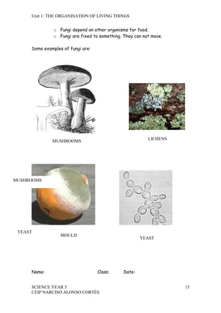 Unit 1 The Organisation Of Living Things | DOC