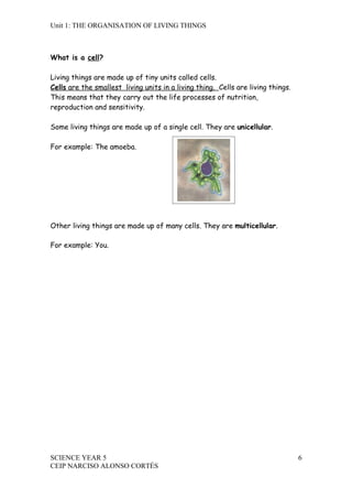 Unit 1 The Organisation Of Living Things | DOC