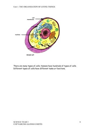 Unit 1 The Organisation Of Living Things | DOC