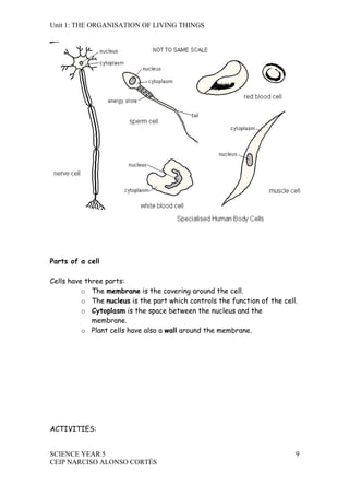 Unit 1 The Organisation Of Living Things | DOC