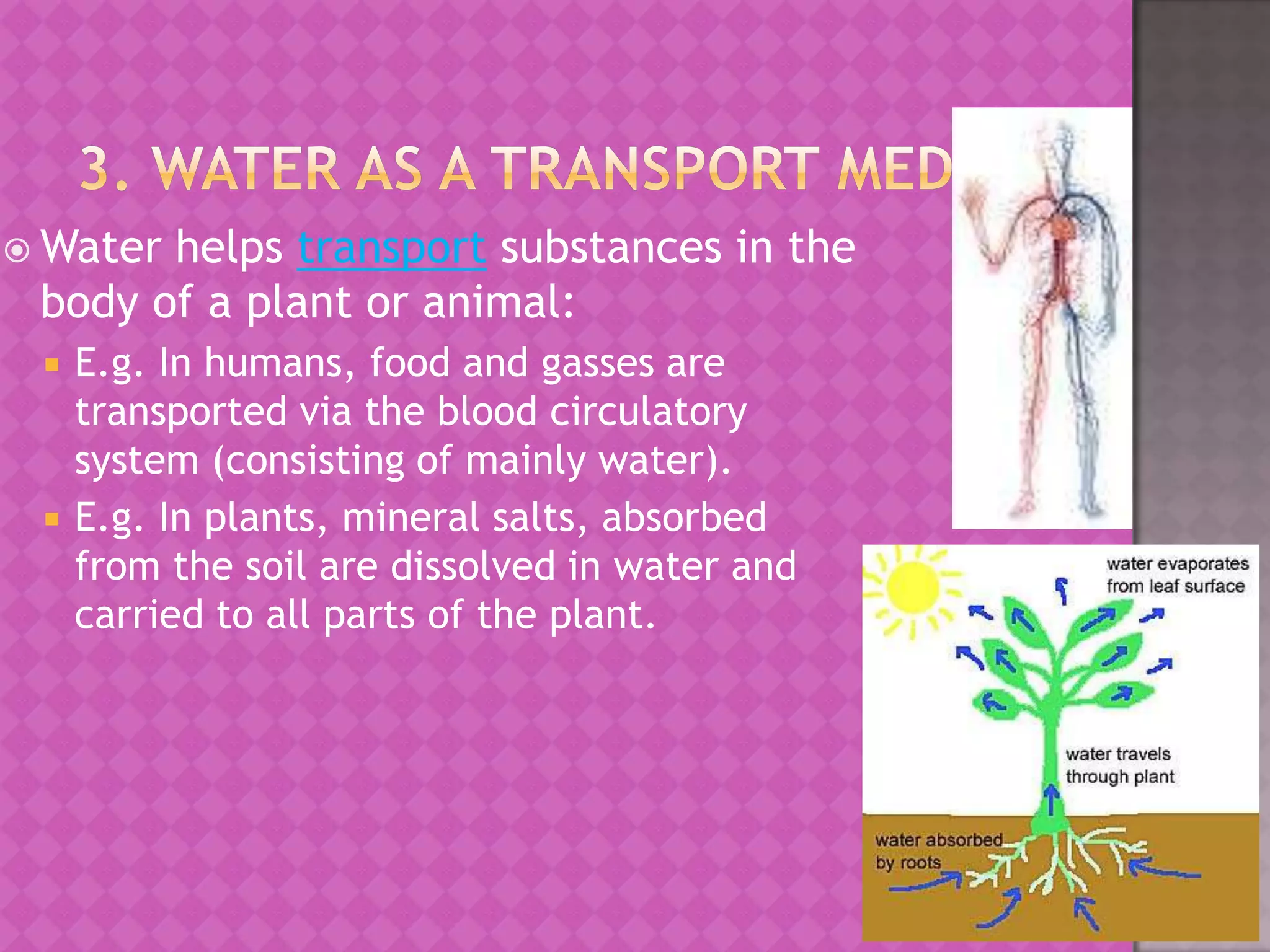 Unit 1 the role of water | PPTX