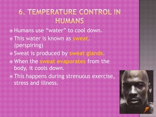 Unit 1 the role of water | PPTX