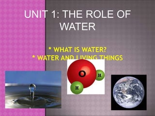 Unit 1 the role of water | PPTX