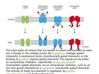 Unit 1_transport accross cell membrane.pptx