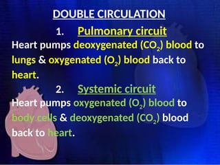 UNIT 1 TRANSPORT SYSTEM IN HUMANS (cardiovascular system).pptx