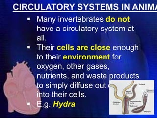 Unit 1 transport systems in animals | PPT