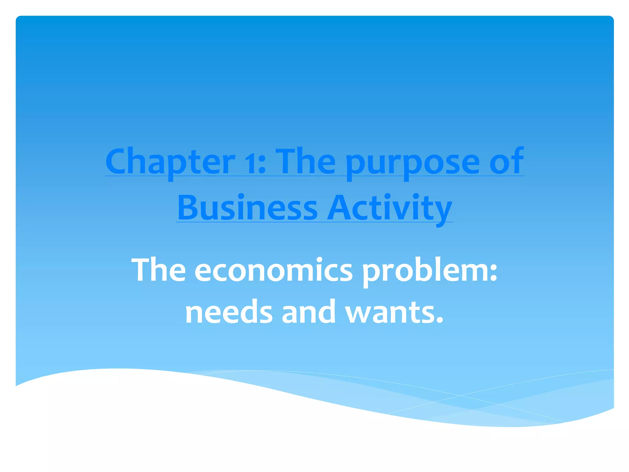 IGCSE Business Studeies Unit 1 understanding business activity ppt | PPTX