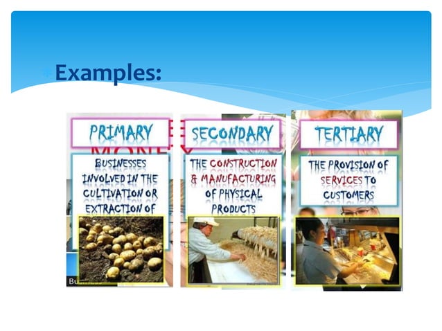 IGCSE Business Studeies Unit 1 understanding business activity ppt ...
