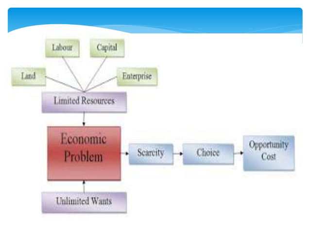 IGCSE Business Studeies Unit 1 understanding business activity ppt ...