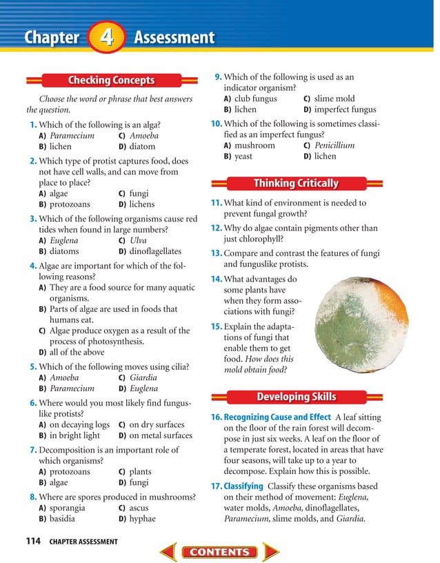 Unit 2 Science (Glencoe red 2002) | PDF