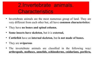 Unit 2. vertebrates and invertebrates animals | PPT