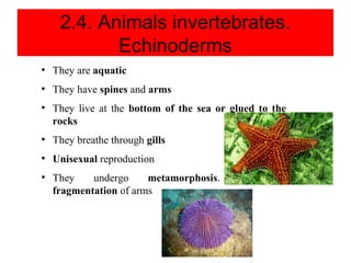 Unit 2. vertebrates and invertebrates animals | PPT