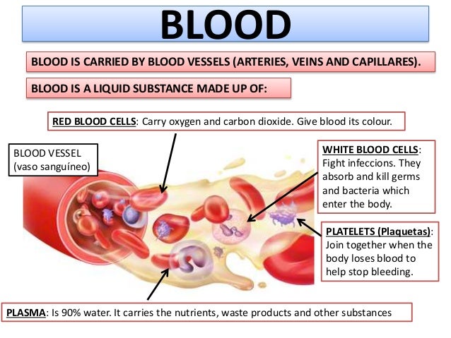 Unit 2: NUTRITION