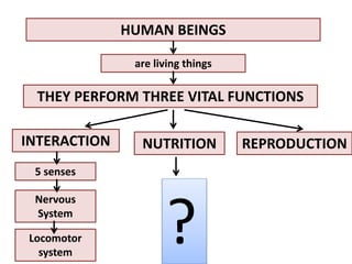 Unit 2 nutrition | PPTX