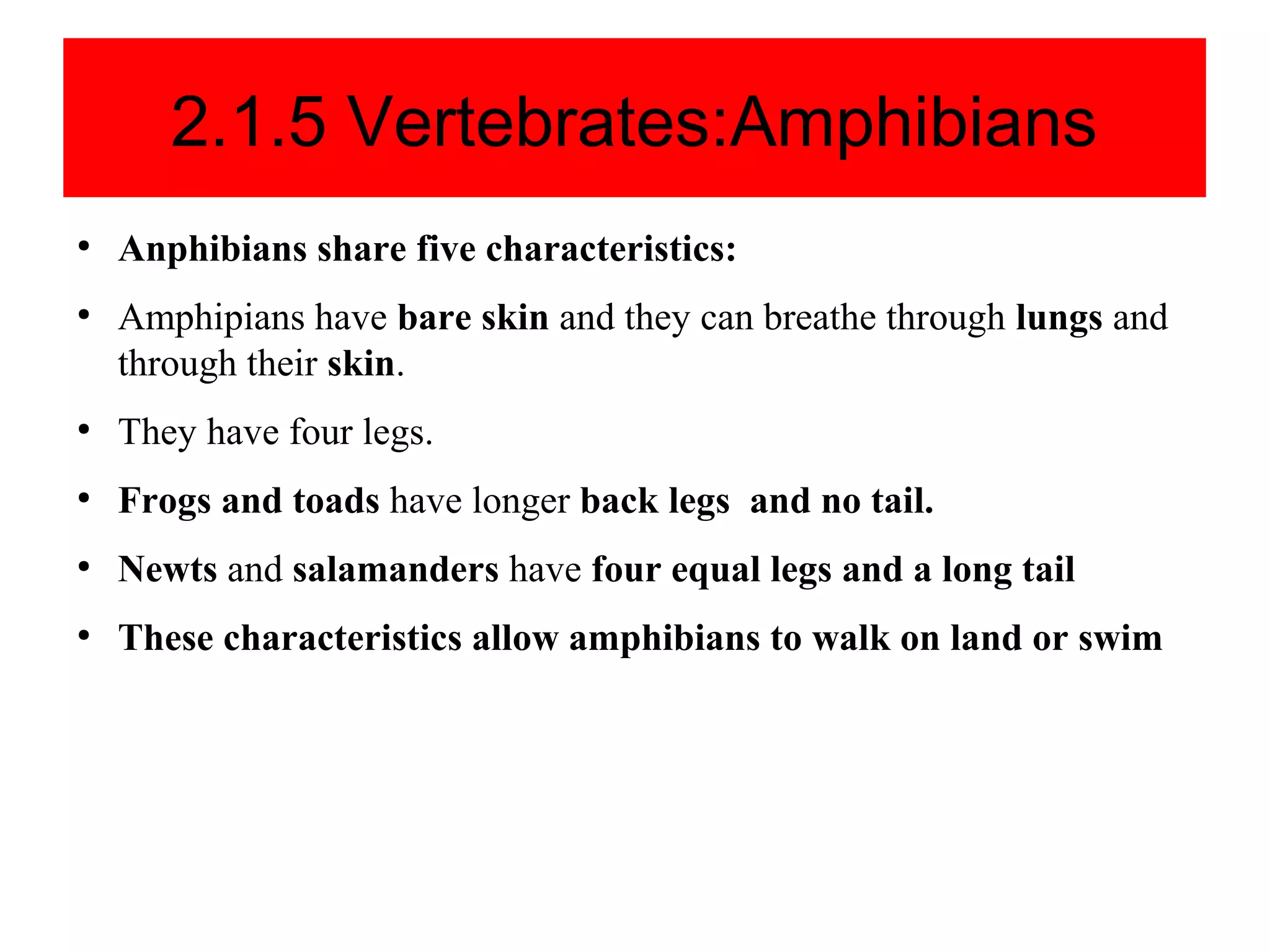 Unit 2. vertebrates and invertebrates animals | PPT | Birds | Pets