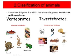 Unit 2. vertebrates and invertebrates animals | PPT
